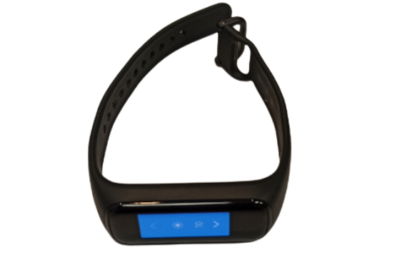 Samsung Galaxy Fit 2 SM-R220 – Banknote интернет-магазин