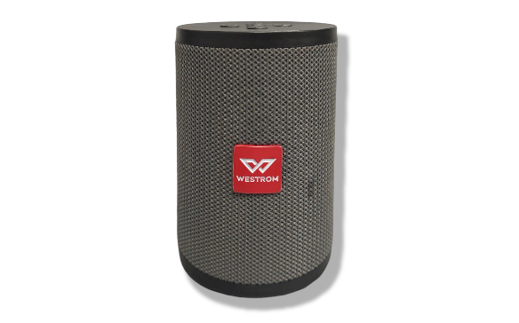 Westrom WR-BT331 – Banknote internetveikals