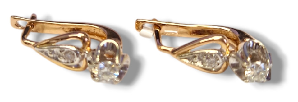 Zelta auskari – Banknote internetveikals