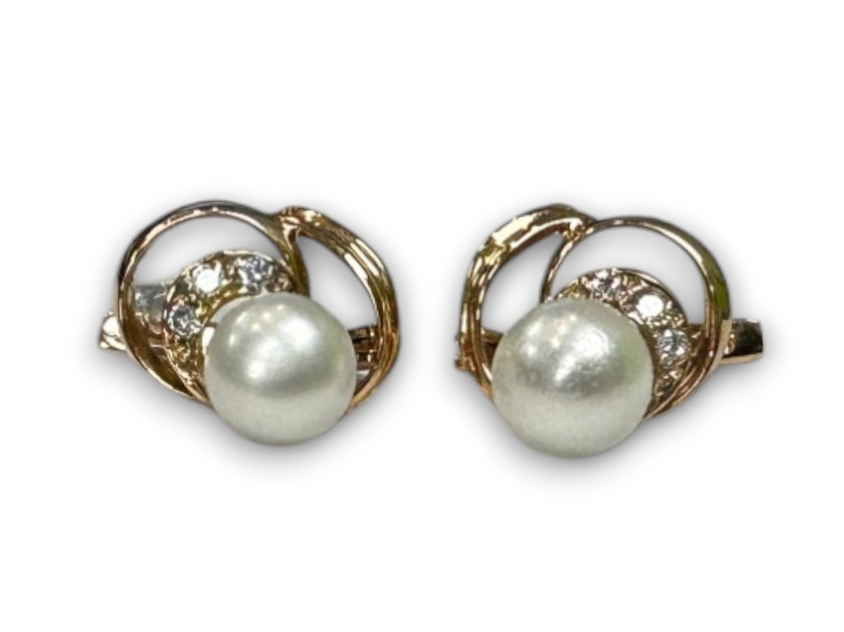 Zelta auskari – Banknote internetveikals